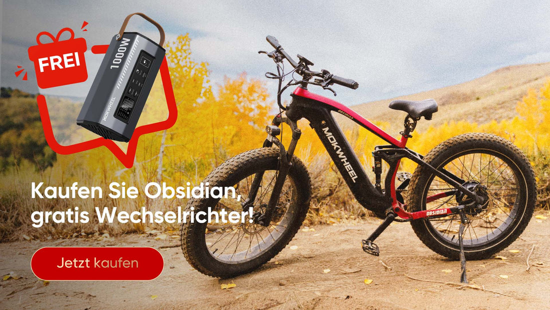 Obsidian | Bestes E Bike Fully | Vollgefedertes E-Bike
