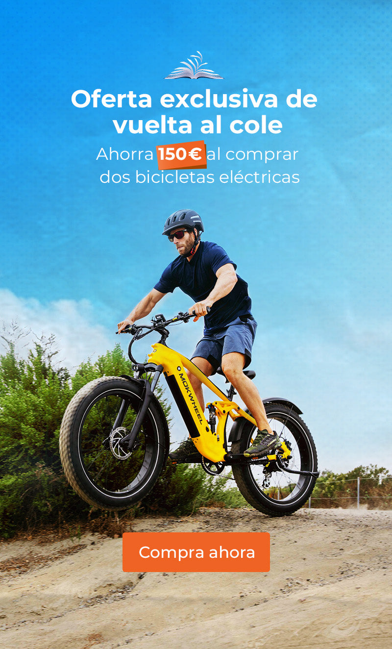 FLINT PRO E-Bike | Leichtes Design für den Stadtverkehr – Kostenloser ...