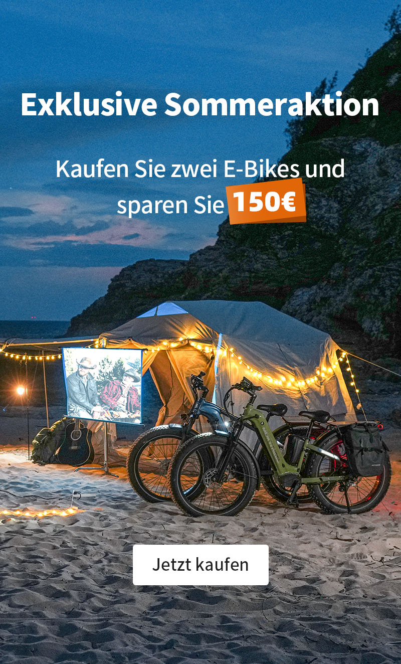 Flint Pro & Flint ST Pro – Das neue leichte E-Bike mit Riemenantrieb f